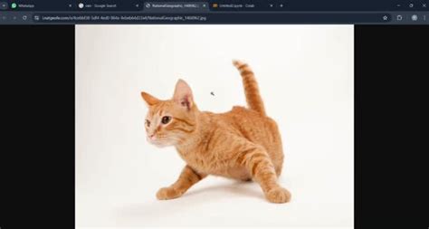 Shaik Saddam On Linkedin Intern Internship Objectdetection Aimers
