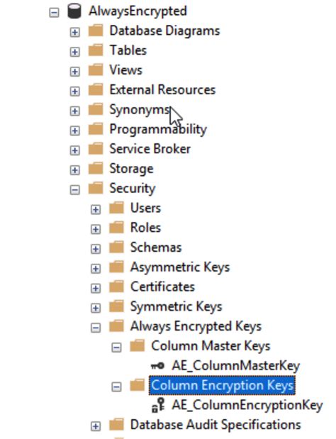 Enable Always Encrypted For Your Mssql Databases Alibaba Cloud Community