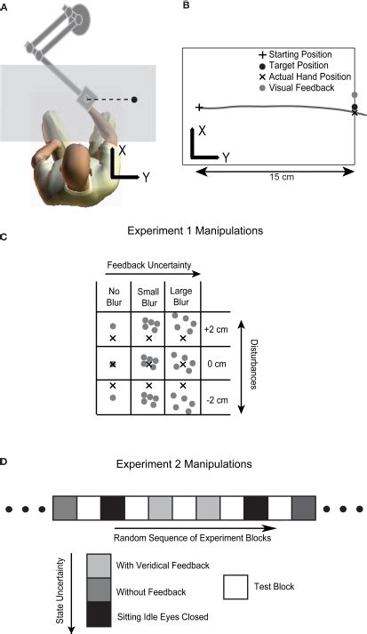 Illustration Of The Experimental Setup And Procedures A The Download Scientific Diagram