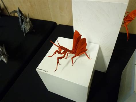F Ziegler Origami à Nancy Et Autres Billevesées Convention De Lyon 2011
