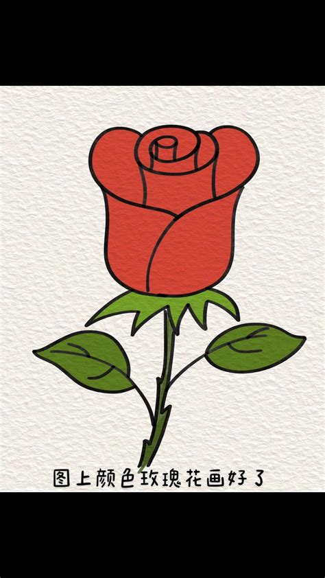 开放的玫瑰花的简笔画（漂亮11张） 简笔画图片大全