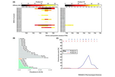 A Heat Maps Depicting The Predicted Peptide Mhc Ii Binding Download Scientific Diagram