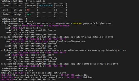Container Cant Ping To Gateway Lxd Linux Containers Forum