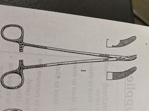 Gynecological Instruments And Supplies Flashcards Quizlet