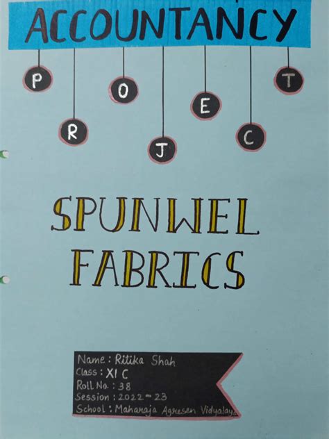 Accounts Project Class 11 Pdf