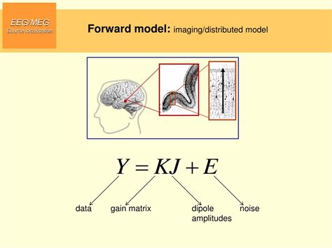 Ppt Eegmeg Source Localisation Powerpoint Presentation Free