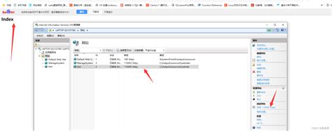 【aspnet Mvc】创建工程并发布网站（2）mvc 发布 Csdn博客