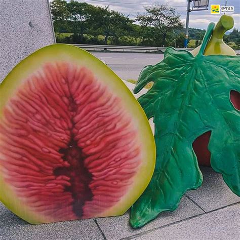 신비의 과일 영암 무화과 네이버 포스트