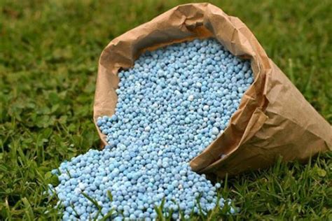 Agribegri 5 Common Mistakes To Avoid When Applying Fertilizers For