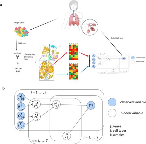 Blade Workflow A To Construct A Prior Knowledge For Blade We Used Download Scientific Diagram Blade Workflow A To Construct A Prior Knowledge For Blade We Used Download Scientific Diagram