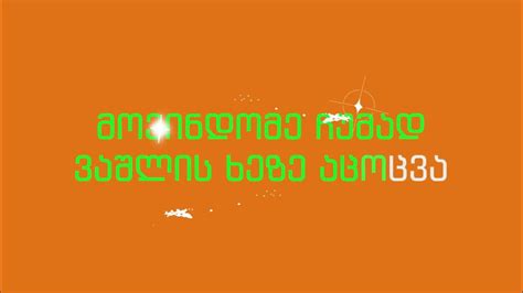 კოკროჭინა Youtube