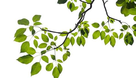 Sitecore Automatically Save Related Items Using Glassmapper