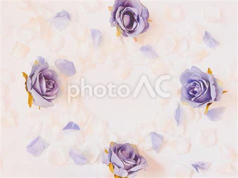 薄紫の薔薇の背景 フレーム No 5012757｜写真素材なら「写真ac」無料（フリー）ダウンロードok
