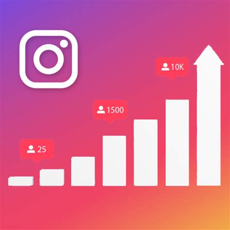 Instagram Profile Analyzer Tool Vaizle