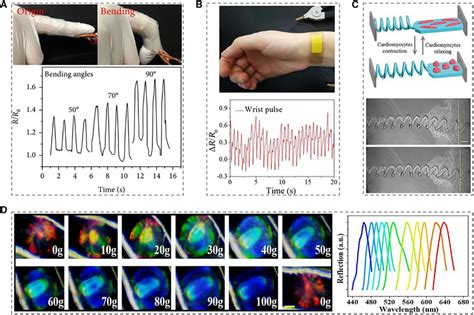 Applications Of Responsive Hydrogel Microfibers For Biosensors Download Scientific Diagram