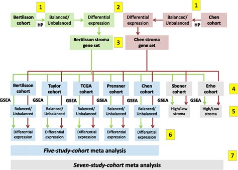 Flow Chart Illustrating The Different Computational Steps For The Download Scientific Diagram
