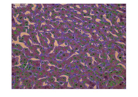 Image Segmentation Toolbox