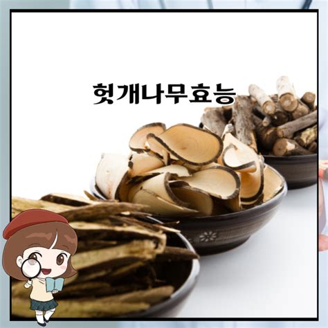 헛개나무효능 섭취하는 다양한방법 네이버 블로그