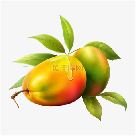 手绘插画风免抠元素芒果素材图片免费下载 千库网
