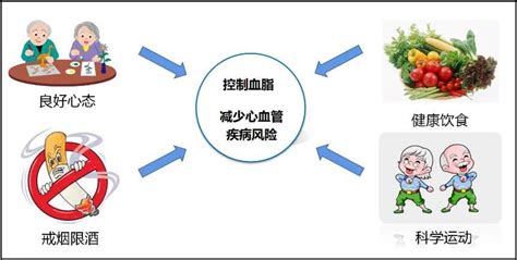 血脂异常知多少