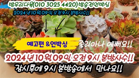 방우리다육 군생특집방송전 미리보는 언박싱💗2024년 10월 9일 오전9시본방오세요💗 Youtube