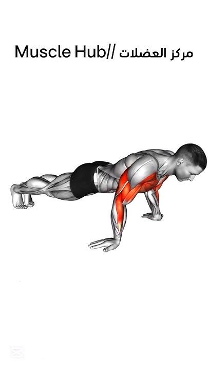 بوش اب Push Ups Sports Workout Advancedabworkout Youtube