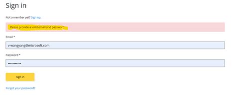 Illegal Characters Were Not Verified During Sign Up On The Developer