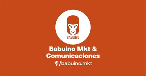 Babuino Mkt And Comunicaciones Instagram Facebook Tiktok Linktree