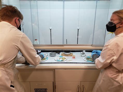 Phenolics — Rocket Development Lab