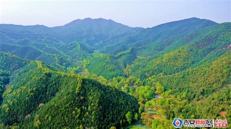 吉水：林长制让青山更绿 纪录小康工程·江西数据库