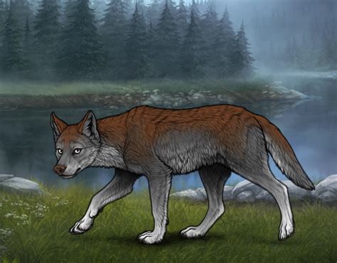 Keep Wolvden