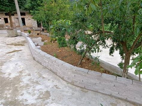 开阳县楠木渡镇：打造美丽“三小园” 绘就乡村新画卷建设红星村果园