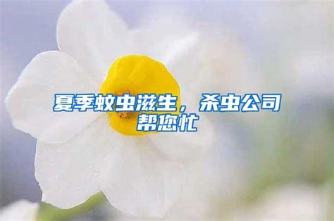 夏季蚊虫滋生杀虫公司帮您忙 灭蚊子 除四害消杀灭虫网