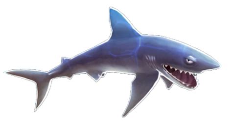 Mako Shark Hse Hungry Shark Wiki Fandom Powered By Wikia