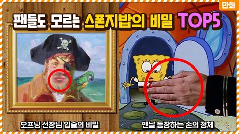 웬만한 팬들도 잘 모른다는 스폰지밥의 비밀 Top5 Youtube