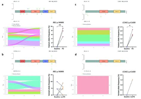 Changes In Individual Mutations In Cell Cycle Pathway Genes And Changes Download Scientific