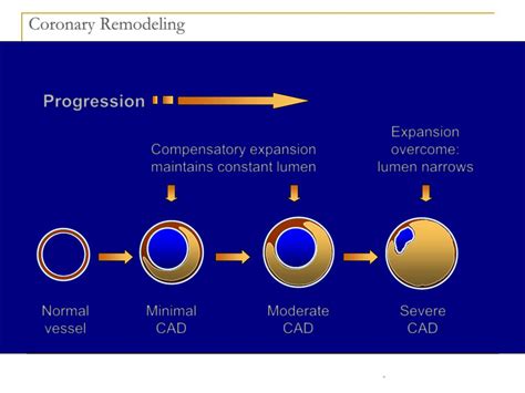 Presentation Of Data Pdf د علياء Muhadharaty