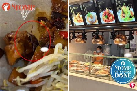 Boy Finds Cockroach In Economic Rice Mother Gets 10 Refund The New