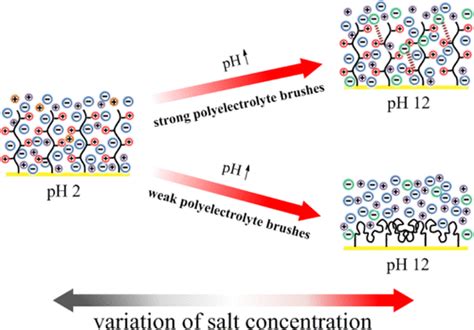 Effect Of Salt Concentration On The Ph Responses Of Strong And Weak