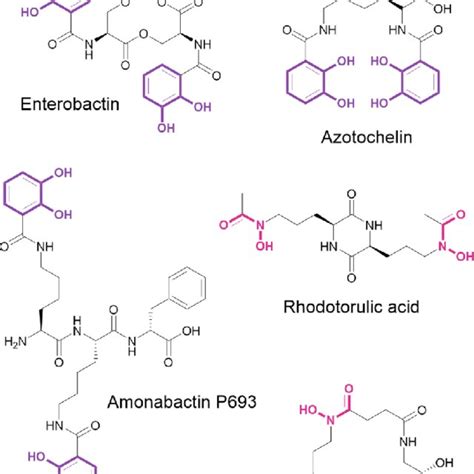 Chemical Structures Of Siderophores Discussed Within The Text With Download Scientific Diagram