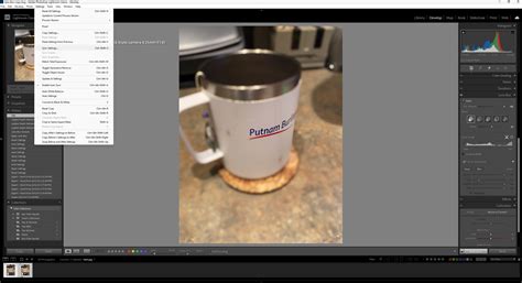 Solved P Lens Blur Brush Refinements Arent Copied By S Adobe Product Community 14710349