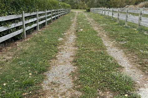 Feilding Pgg Wrightson Real Estate