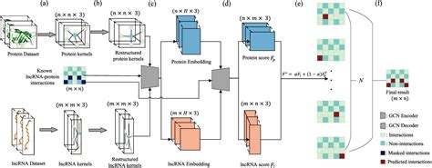 Figure 1 From Prediction Of Lncrna Protein Interactions Based On Kernel Combinations And Graph