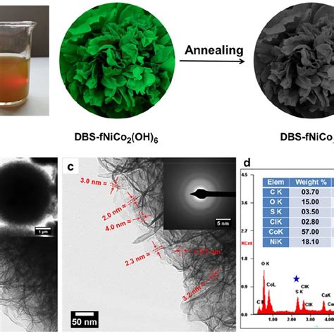 A Schematic Illustration Showing The Synthesis Process Of The 3d Download Scientific Diagram
