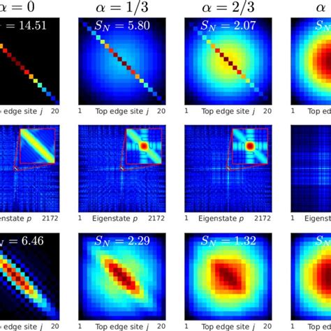 Abbildung 42 Evolution Of The Spatial Probability Distribution Of The