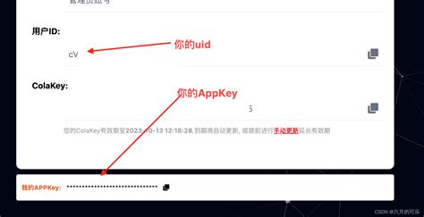 文心一言api高级版使用文心一言 Key Csdn博客