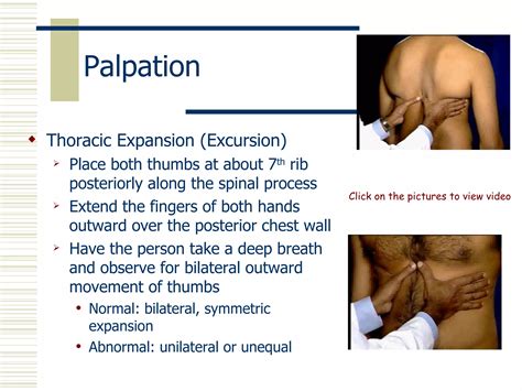 Respiratory Assessment Ppt