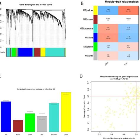 Weighted Correlation Network Analysis Wgcna Of Samples A Cluster
