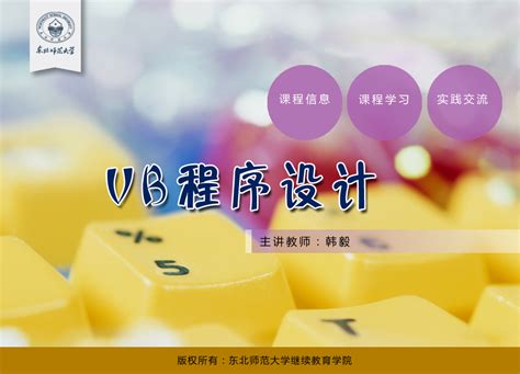 Vb程序设计 Vb程序设计