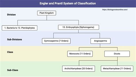 What Is Plant Taxonomy Identification Classification And